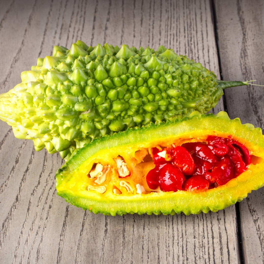 Rare Bitter Melon Seed Pack 5 Non-gmo Goya Seeds for Home Gardens ...