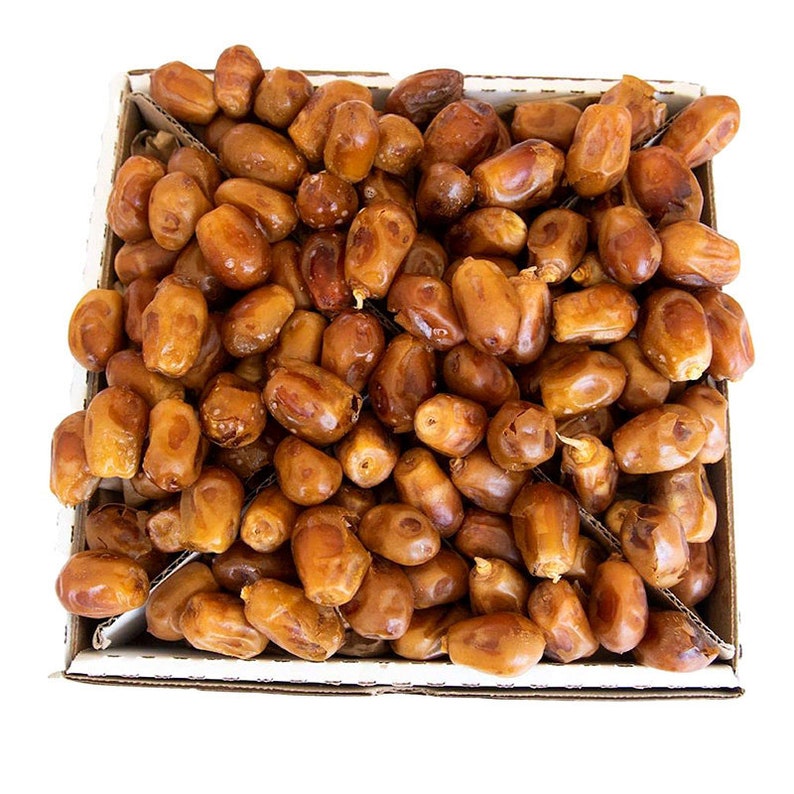 5 graines de palmier dattier Halawi Qualité patrimoniale douce et ...