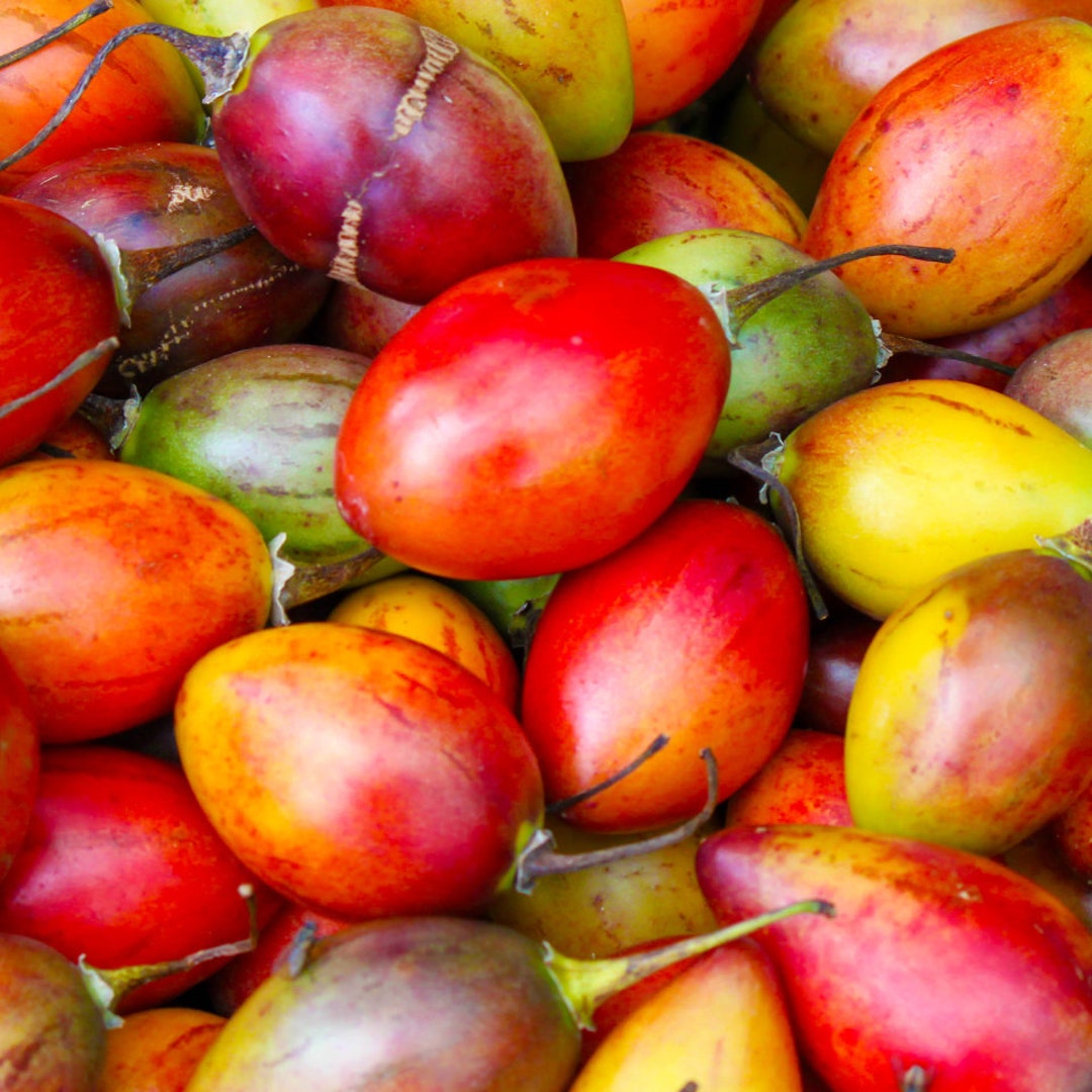 Rare 'sweet Tooth' Tomato Seeds 5 Juicy & Flavorful, Ideal for Organic ...