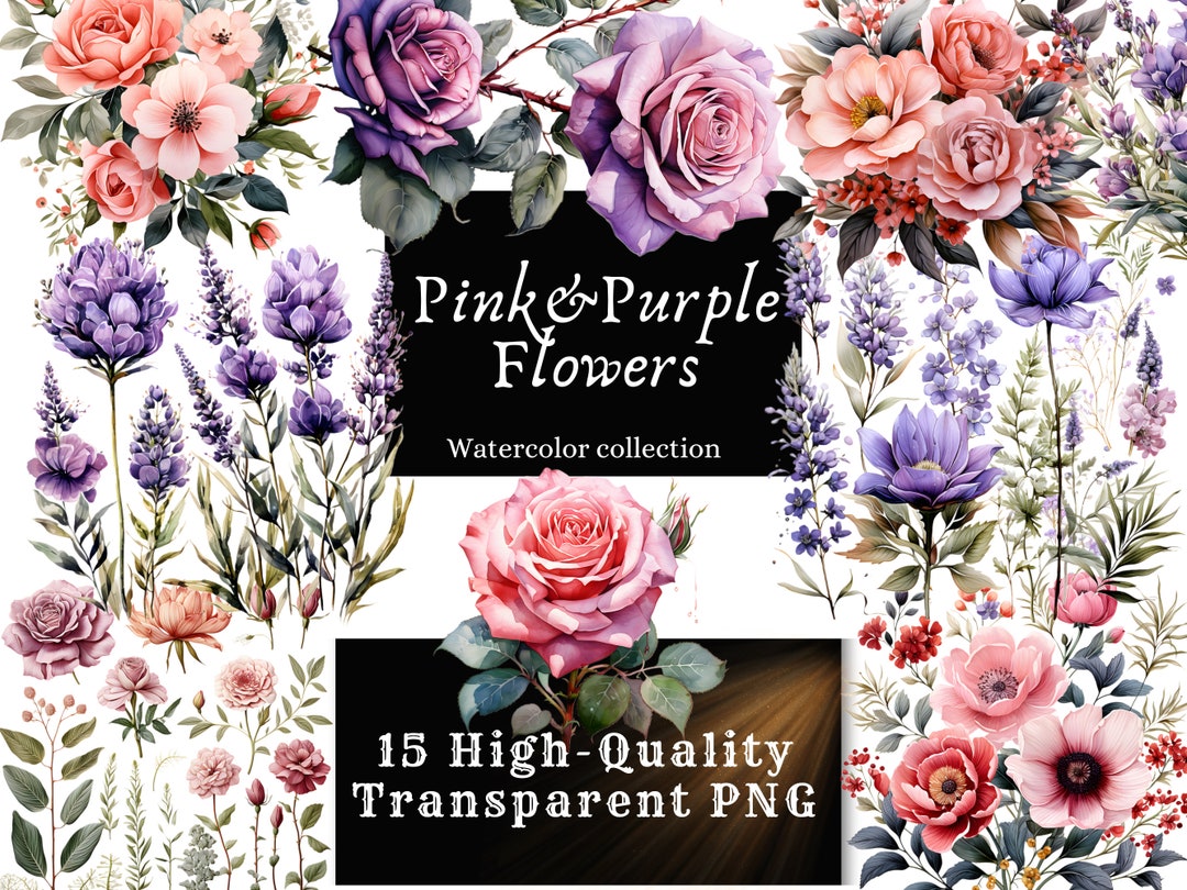 Pink and Purple Flowers Watercolor Clipart Set- 15 Pngs- High-quality ...