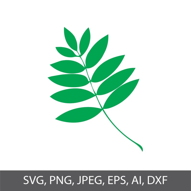 Curry Leave Svg, Leave Svg, Leaf Silhouette for Laser Cutting, Svg, Png ...