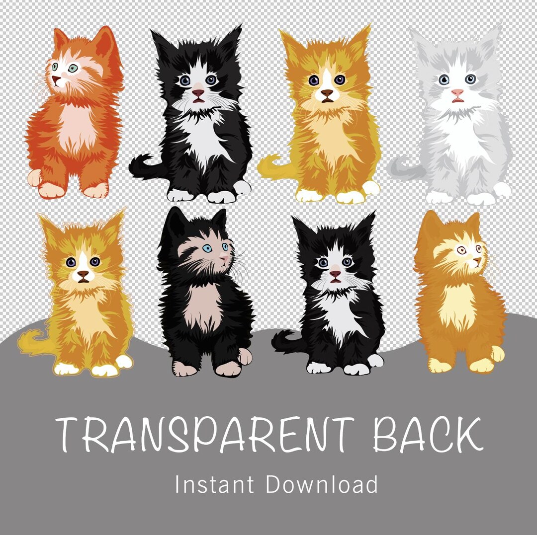 Kitten Clipart Bundle Transparent Background SVG and PNG Files EPS ...
