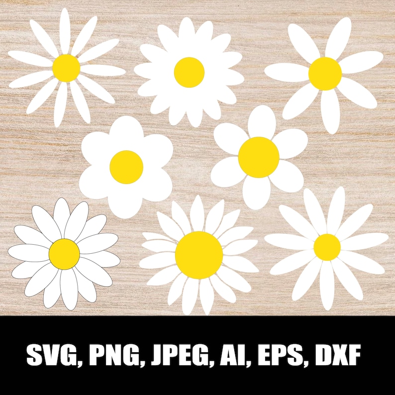 Daisy SVG Bundle, Daisy Flower Svg, White Daisy Clipart , Daisy SVG ...