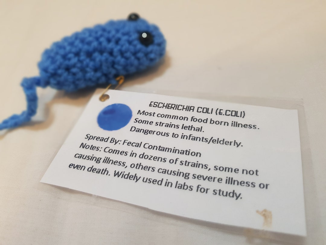 Crochet Bacteria Key Chain - Etsy