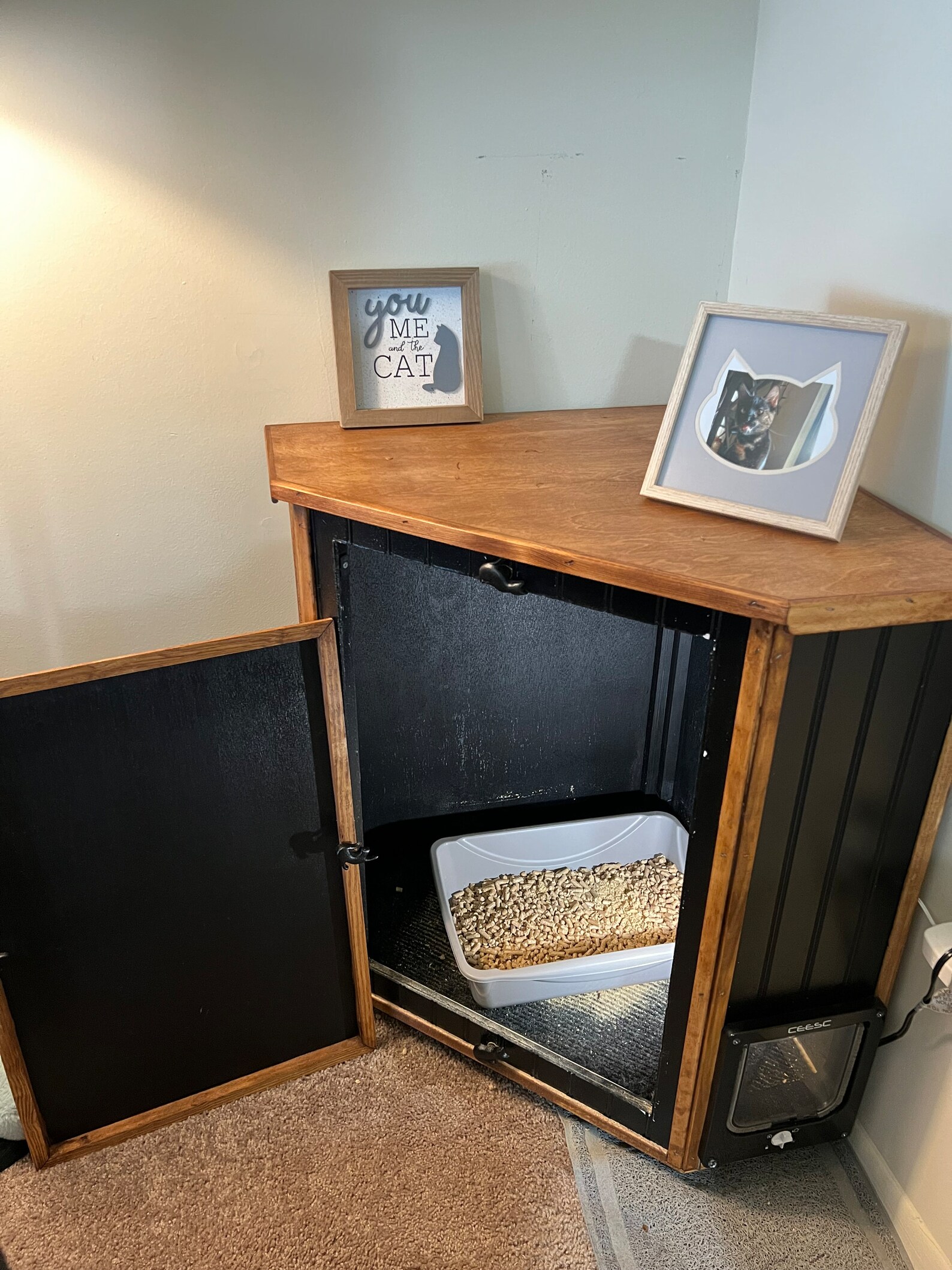 Cat Litter Box Customizable to Order - Etsy