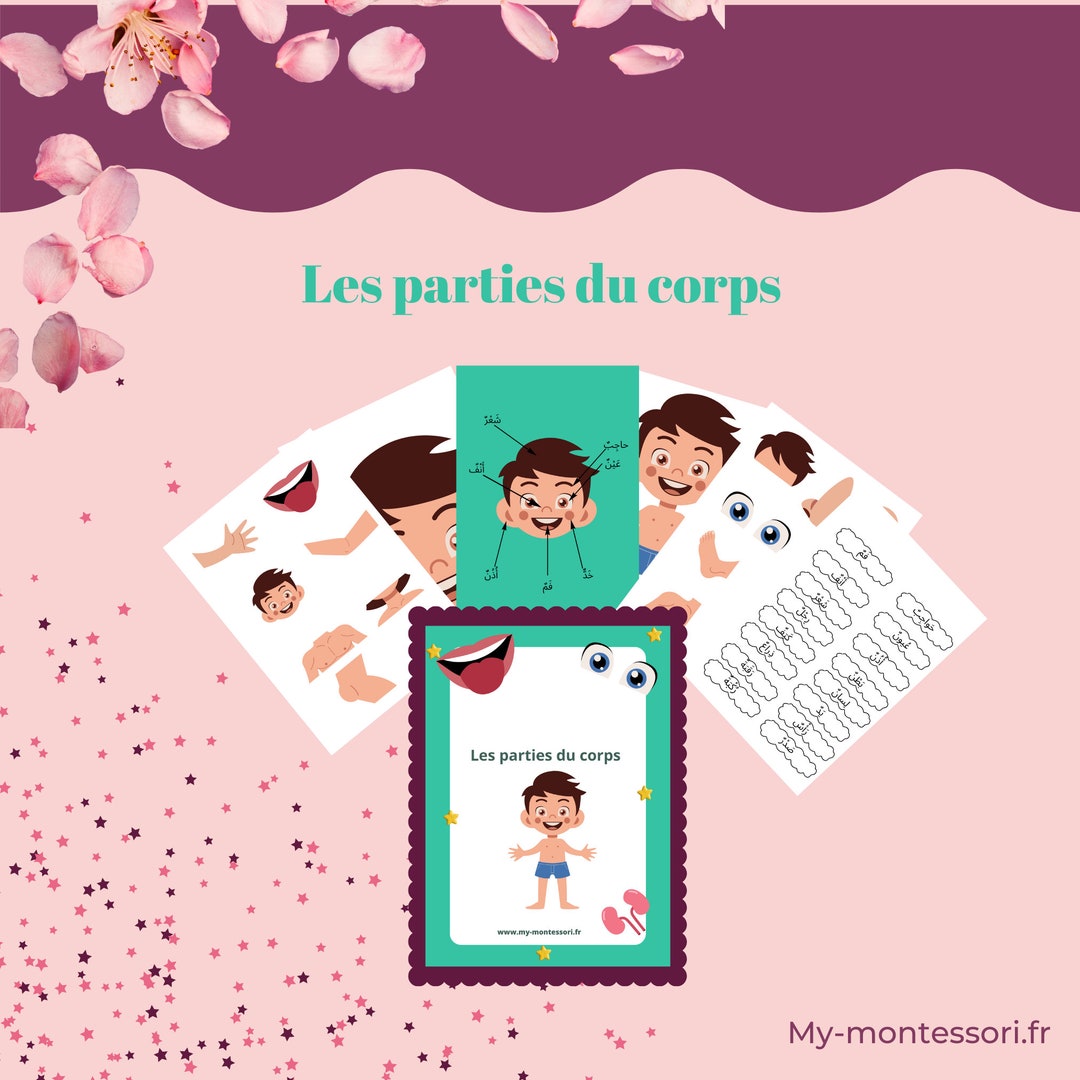 PDF Montessori Les Parties Du Corps En Arabe - Etsy