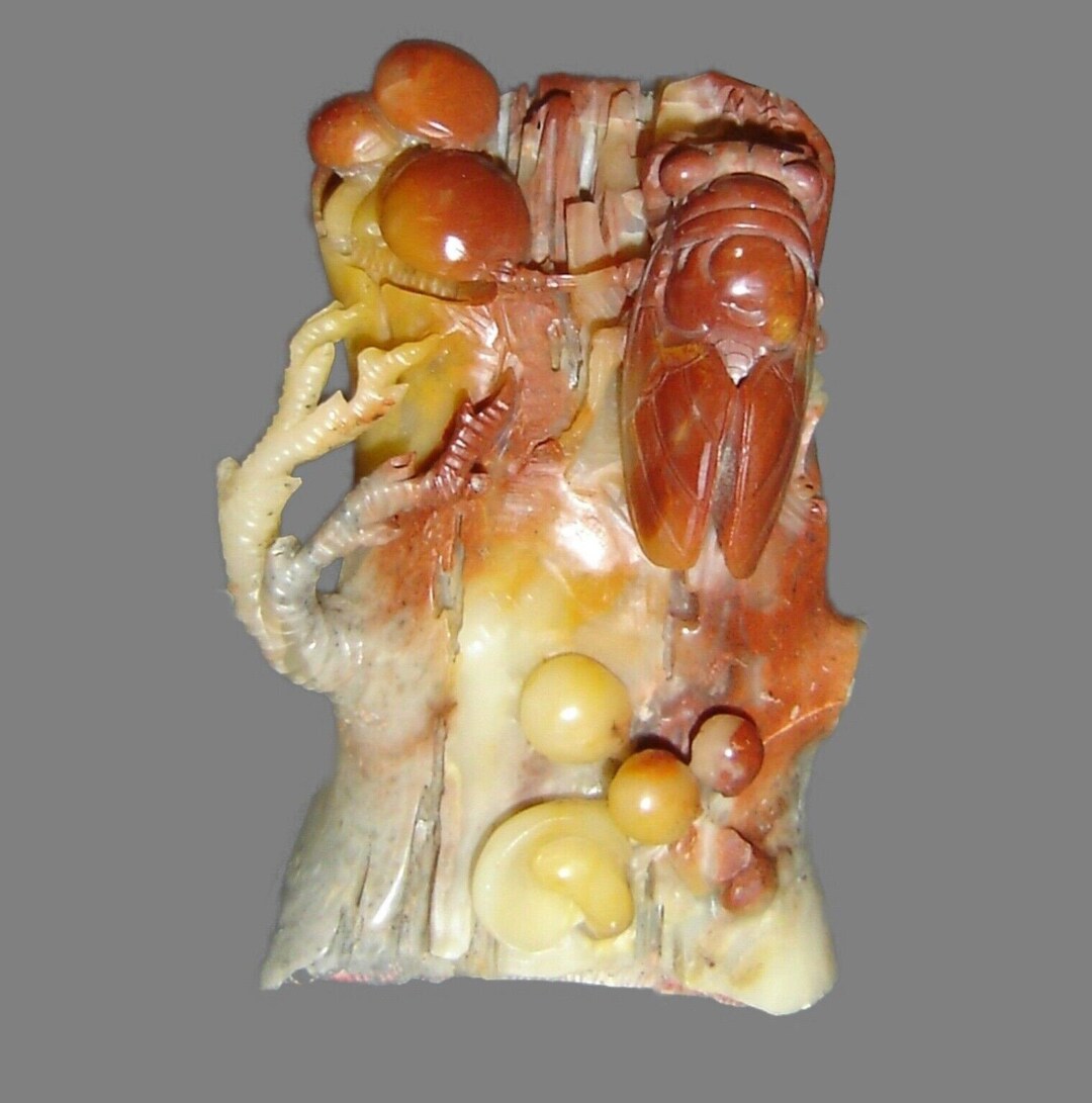 Fabulous Rare Antique Chinese Qing Dynasty Finely Carved Tianhuang ...