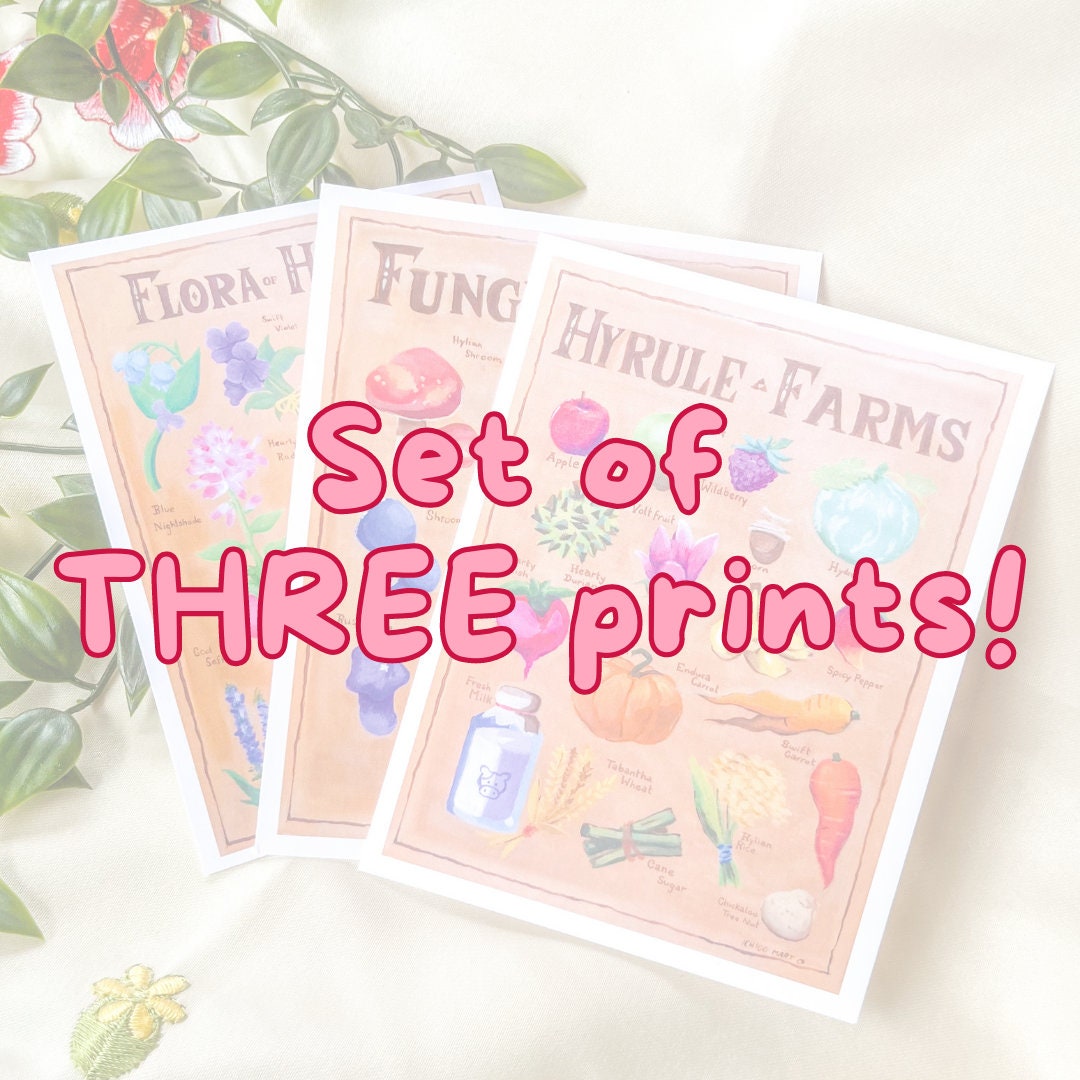 Set of THREE Legend of Zelda: Breath of the Wild and Tears of the ...