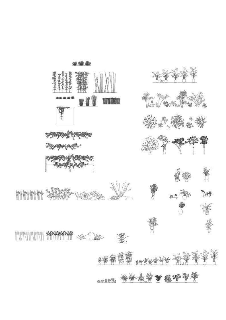 Ultimate Tree Collection: SVG Files for Architectural Plans & Sections ...