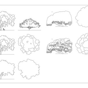 Ultimate Tree Collection: SVG Files for Architectural Plans & Sections ...