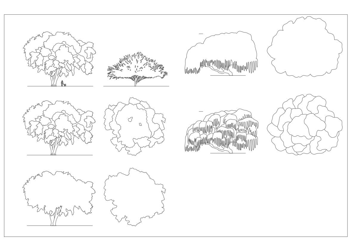 Ultimate Tree Collection: SVG Files for Architectural Plans & Sections ...