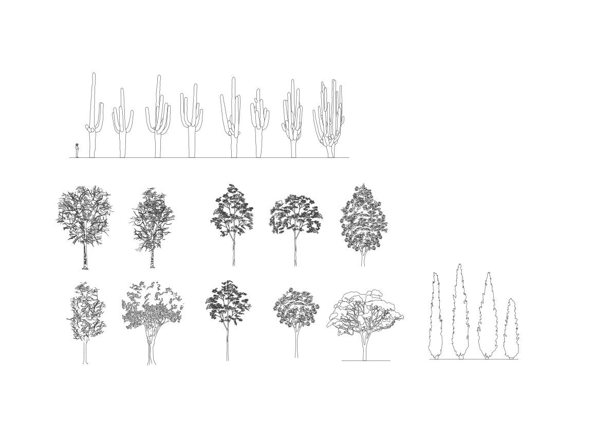 Ultimate Tree Collection: SVG Files for Architectural Plans & Sections ...