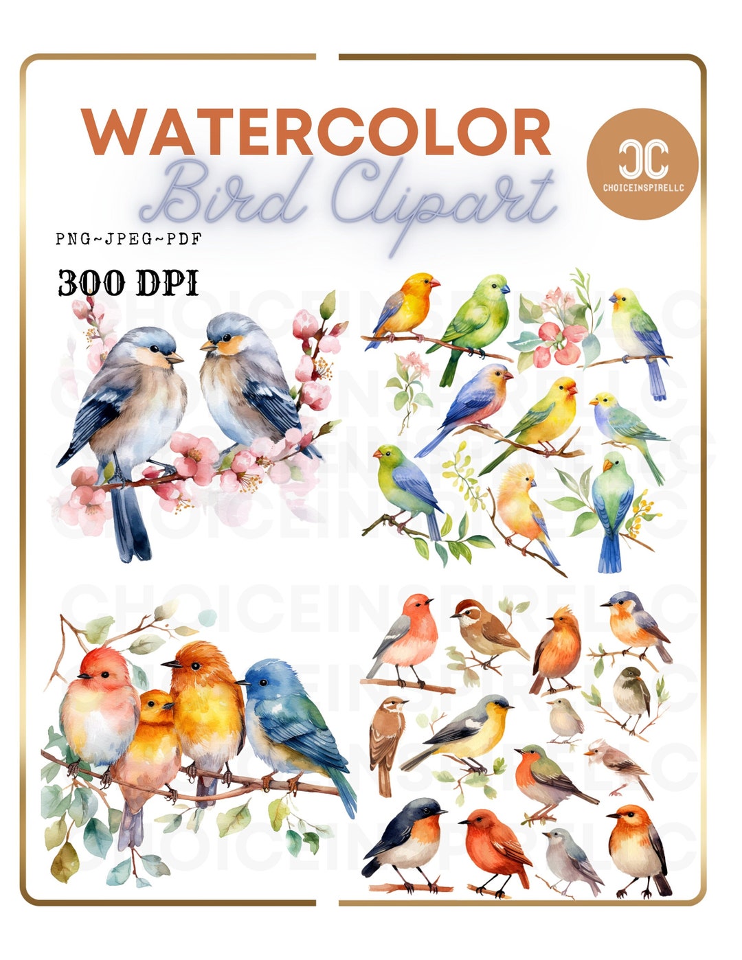 Watercolor Birds Clipart Png Storybook Png-birthday Party Png Craft Png ...