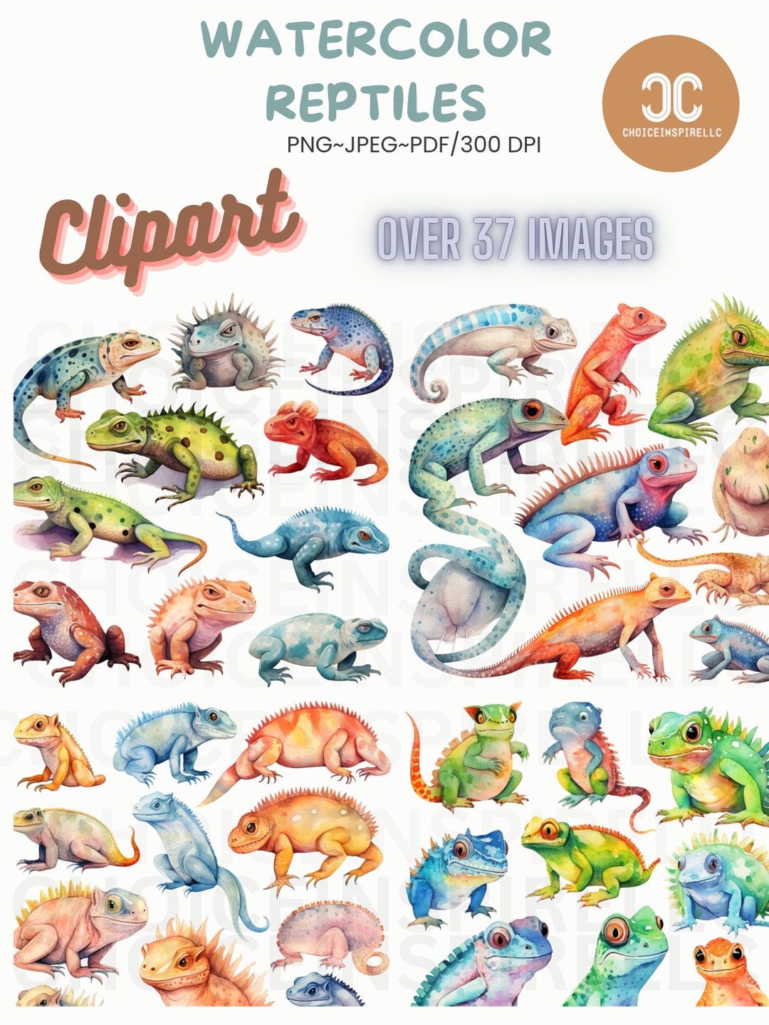 Watercolor Reptiles Clipart Png-animal Images Png Pets Png - Etsy