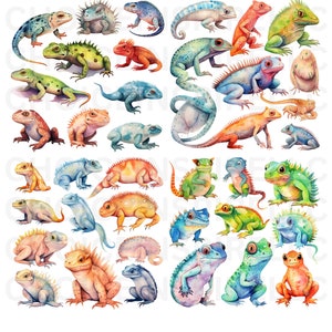 Watercolor Reptiles Clipart Png-animal Images Png Pets Png - Etsy