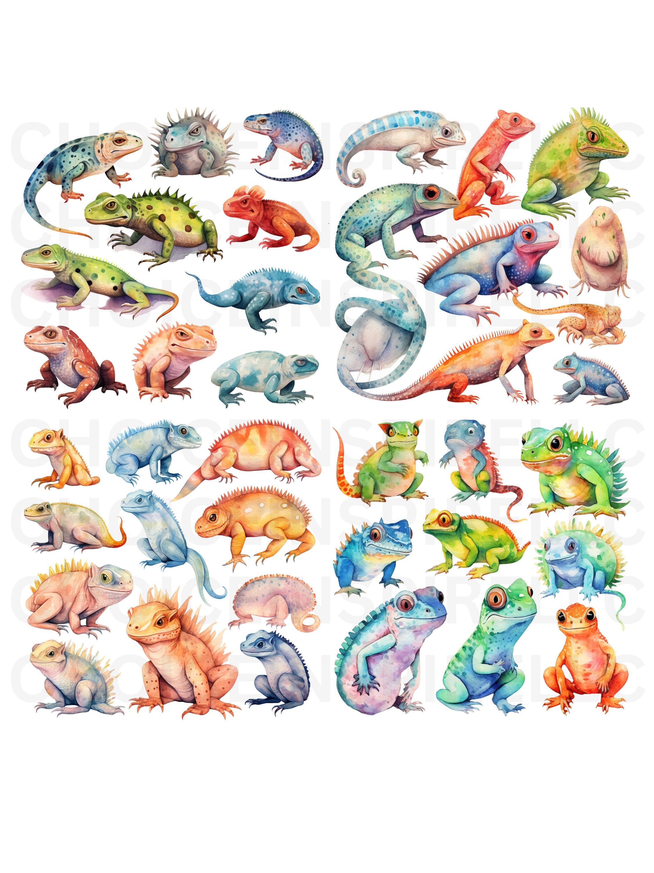 Watercolor Reptiles Clipart Png-animal Images Png Pets Png - Etsy