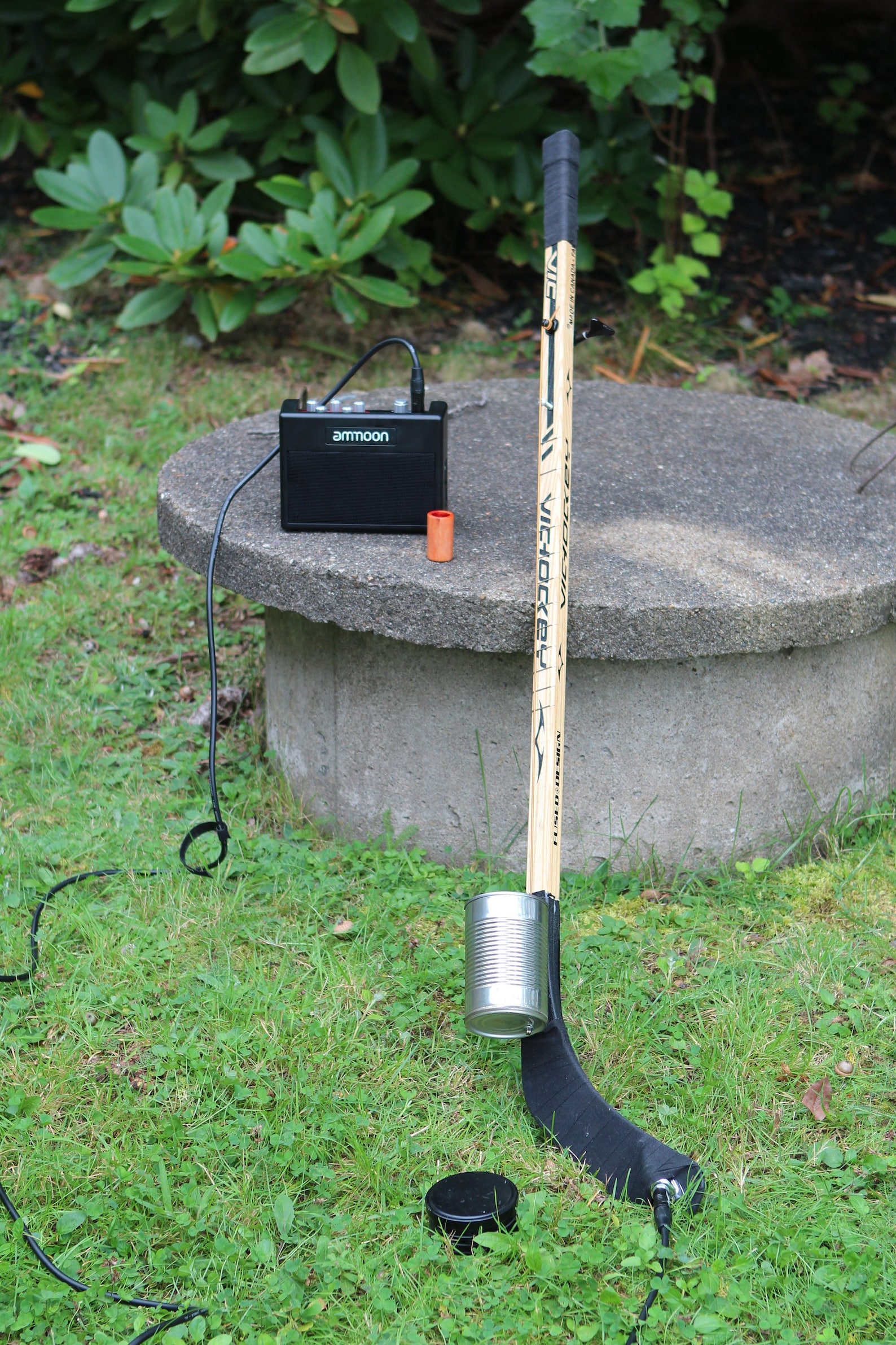 Truly Canadian Electric Diddley Bow - Etsy