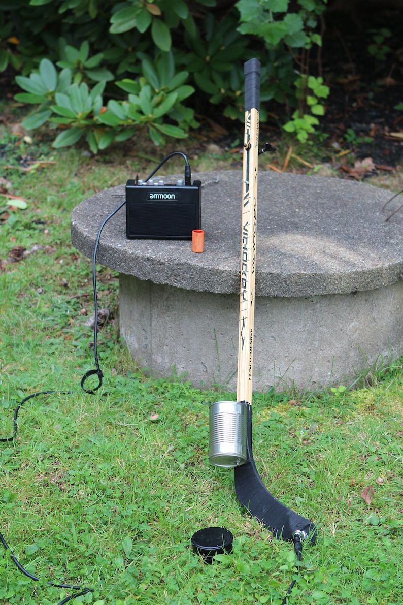 Truly Canadian Electric Diddley Bow - Etsy