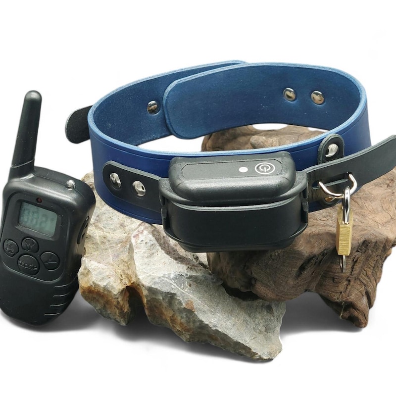 Shock Collar for Humans - Etsy