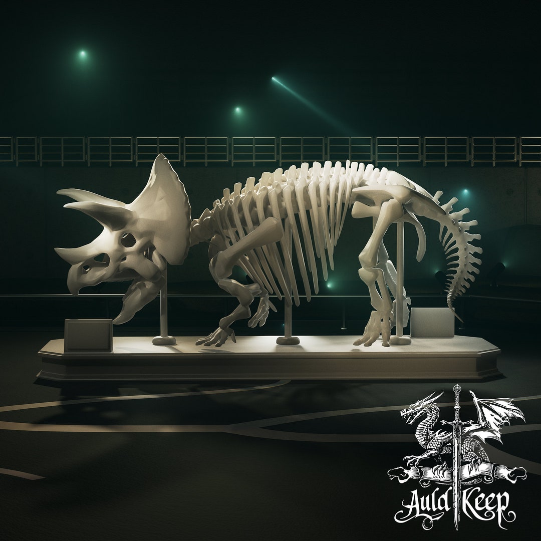 Animal Crossing: New Horizons Inspired // Triceratops Dinosaur Skeleton ...