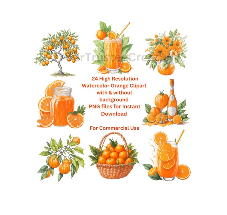 Watercolor Oranges Clipart: 24 PNG Graphics (digital Download) - Etsy