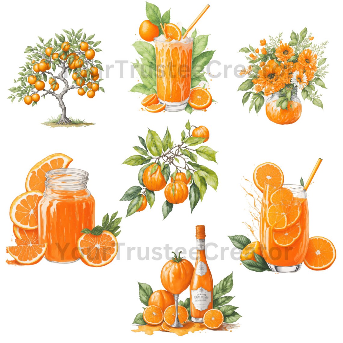 Watercolor Oranges Clipart: 24 PNG Graphics (digital Download) - Etsy
