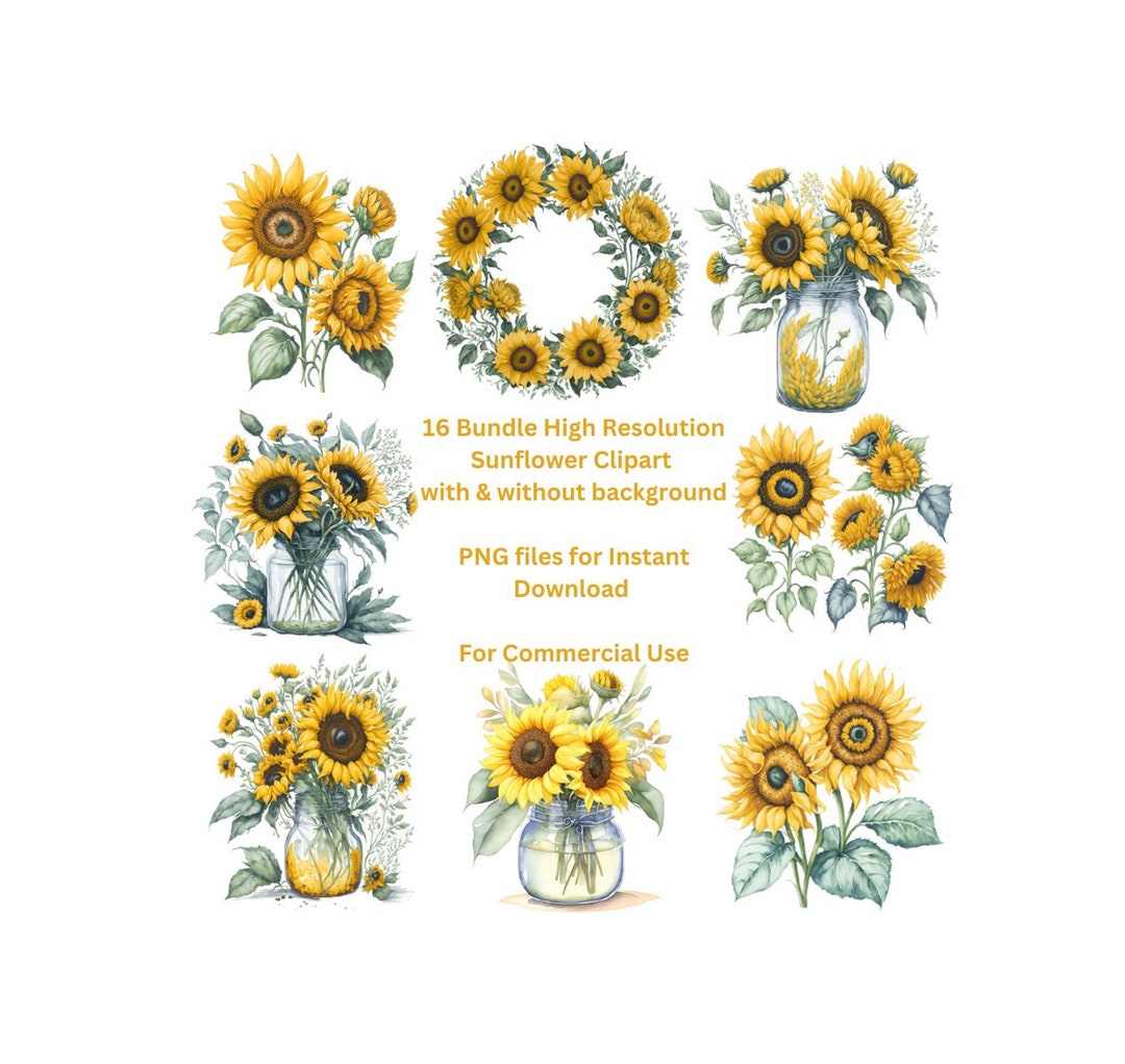 Watercolor Sunflowers | With and Without Background | Fall Flowers ...