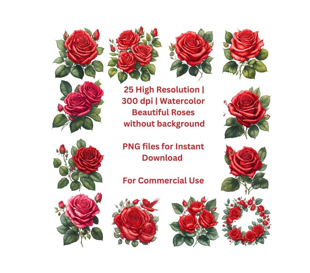 Beautiful Red Rose | Clipart | 25 High Quality Pngs | Digital Download ...