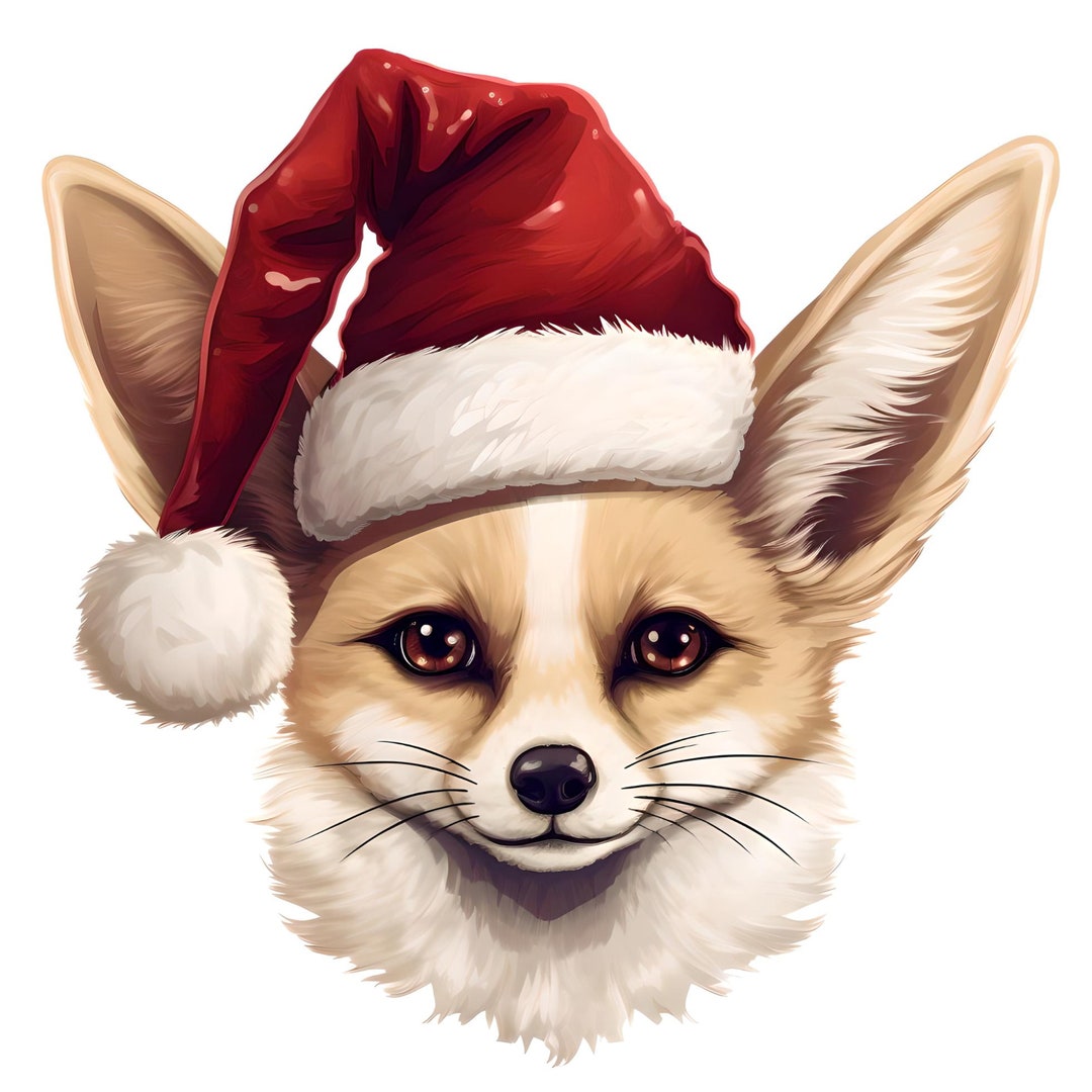 Fennec Fox Santa Claus, Santa Fennec Fox, Xmas Fennec Fox, 4000x4000 ...