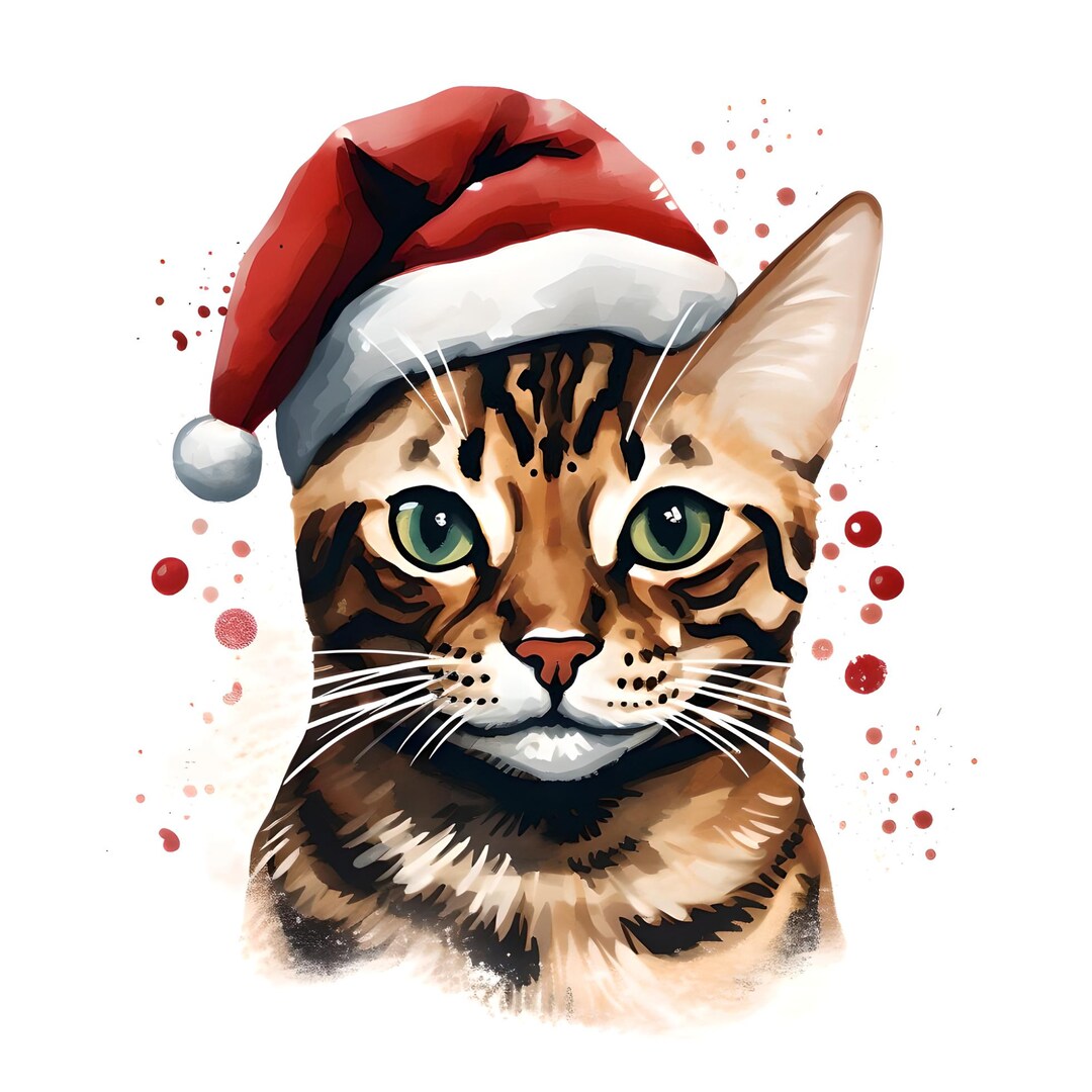 Bengal Cat Santa Claus, Santa Claws, Santa Cat, Xmas Cat, 4000x4000 ...