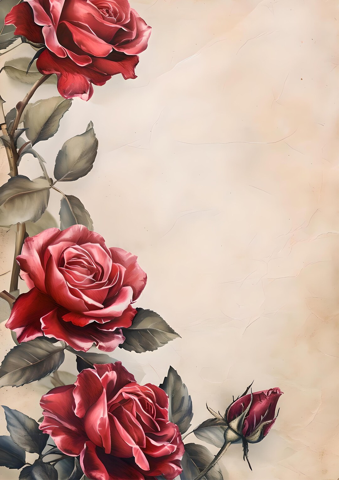 Roses Digital Paper Background 5 Off, Valentines Day, A3 300dpi, PNG ...