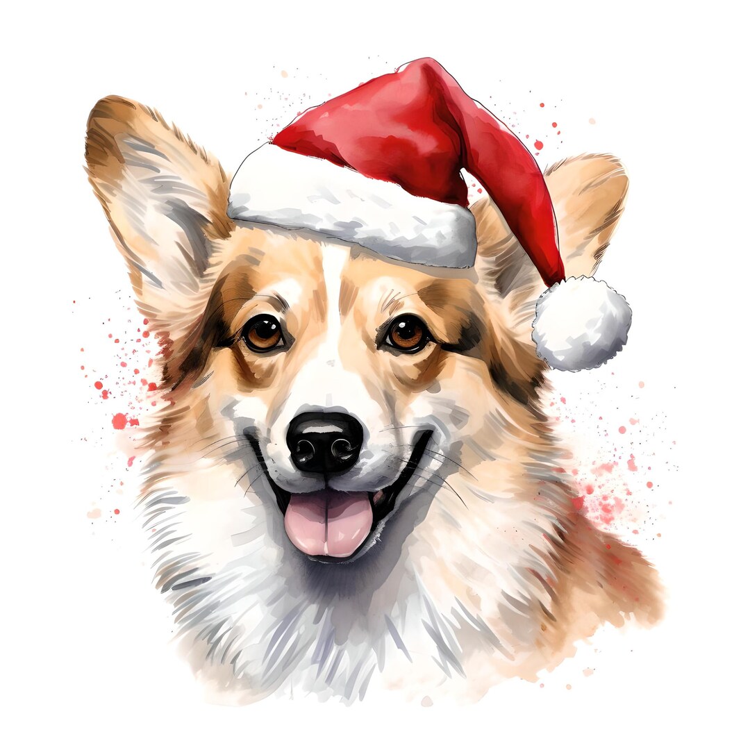 Welsh Corgi Santa Claus, Santa Dog, Xmas Dog, 4000x4000 Pixels, PNG ...