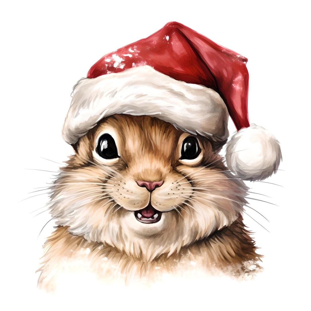 Chipmunk Santa Claus, Santa Chipmunk, Xmas Chipmunk, 4000x4000 Pixels ...