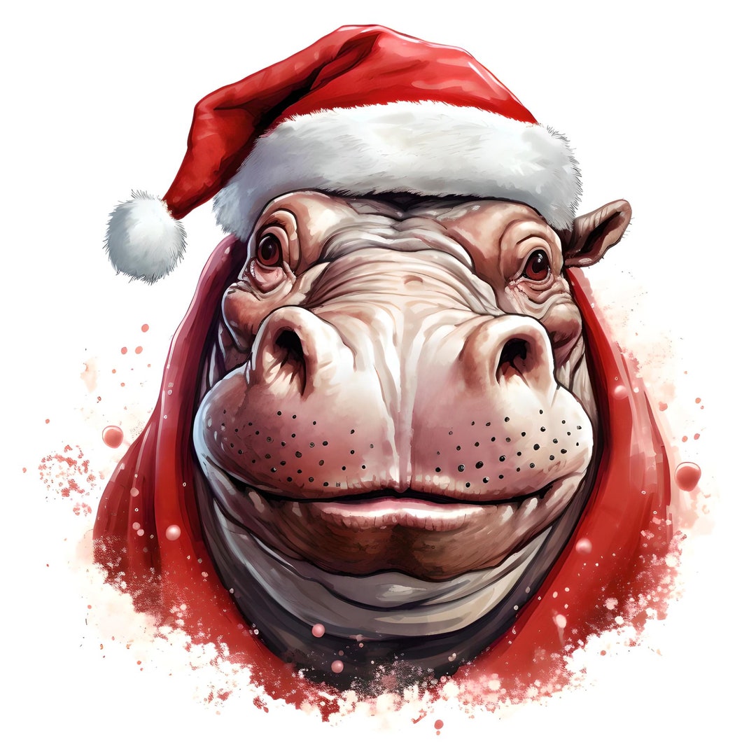 Hippopotamus Santa Claus, Santa Hippo, Xmas Hippopotamus, 4000x4000 ...
