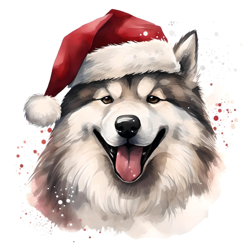 Alaskan Malamute Santa Claus, Santa Dog, Xmas Dog, 4000x4000 Pixels ...