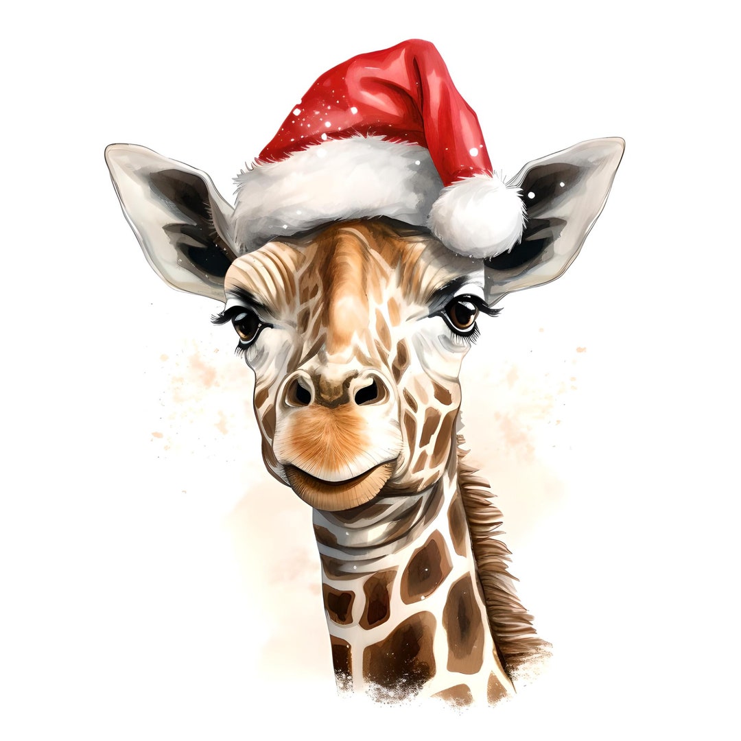 Giraffe Santa Claus, Santa Giraffe, Xmas Giraffe, 4000x4000 Pixels, PNG ...