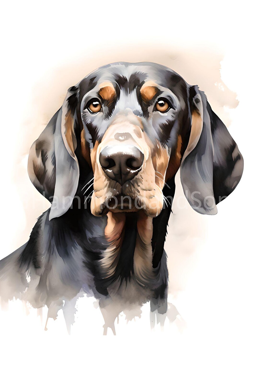 Portrait of Coonhound Art Digital Print - A3 Portrait - PNG File ...