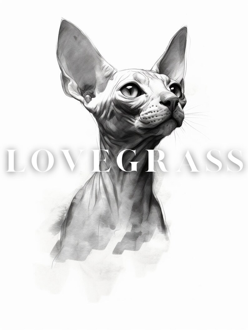 Hairless Cat Art Print, Sphynx Cat Wall Art, Hairless Cat Gift ...