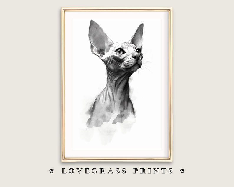 Hairless Cat Art Print, Sphynx Cat Wall Art, Hairless Cat Gift ...