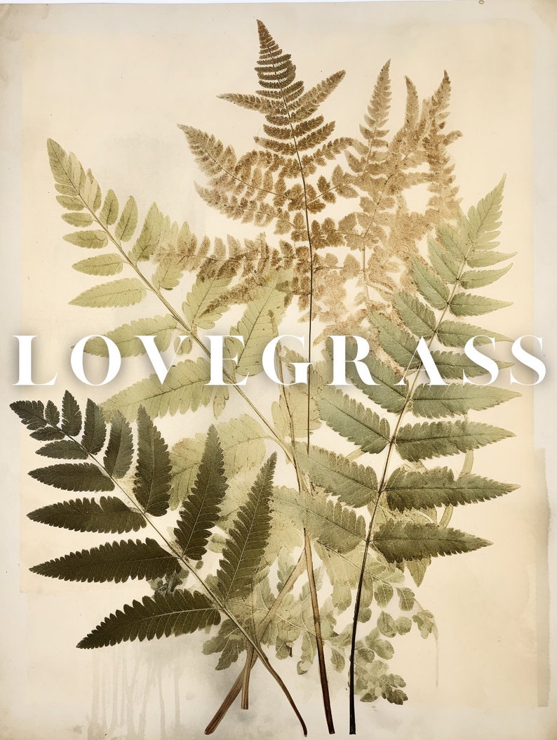 Fern Print, Fern Printable Wall Art, Ferns Art Print, Fern Vintage ...