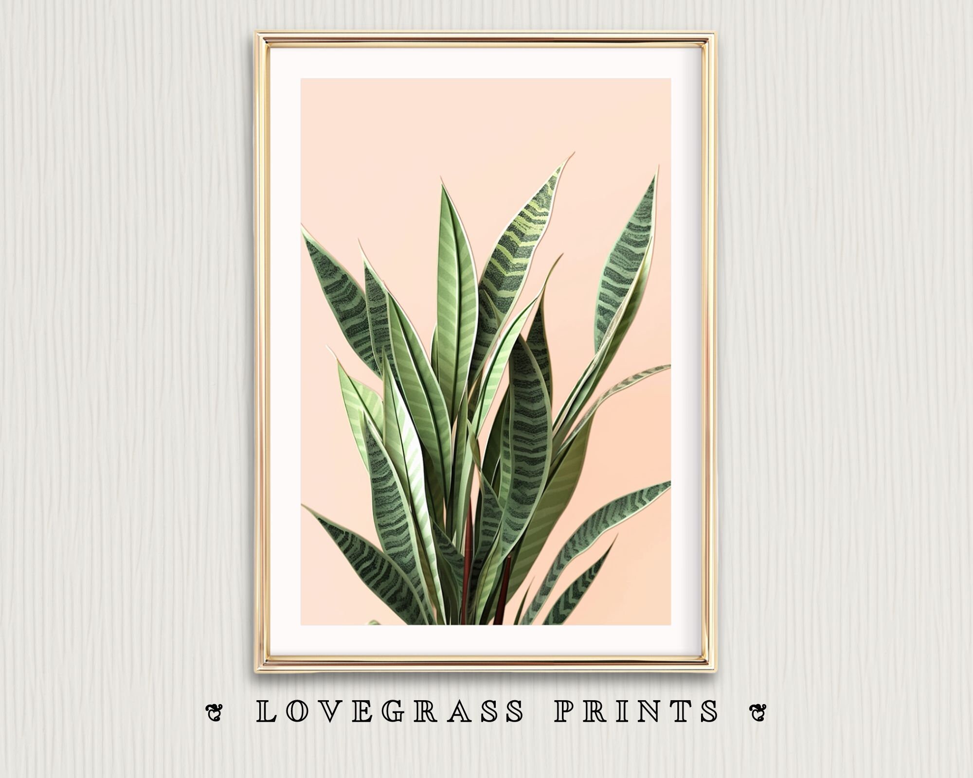 Snake Plant Art, Terracotta Snake Plant Printable, Sage Green Wall Art ...