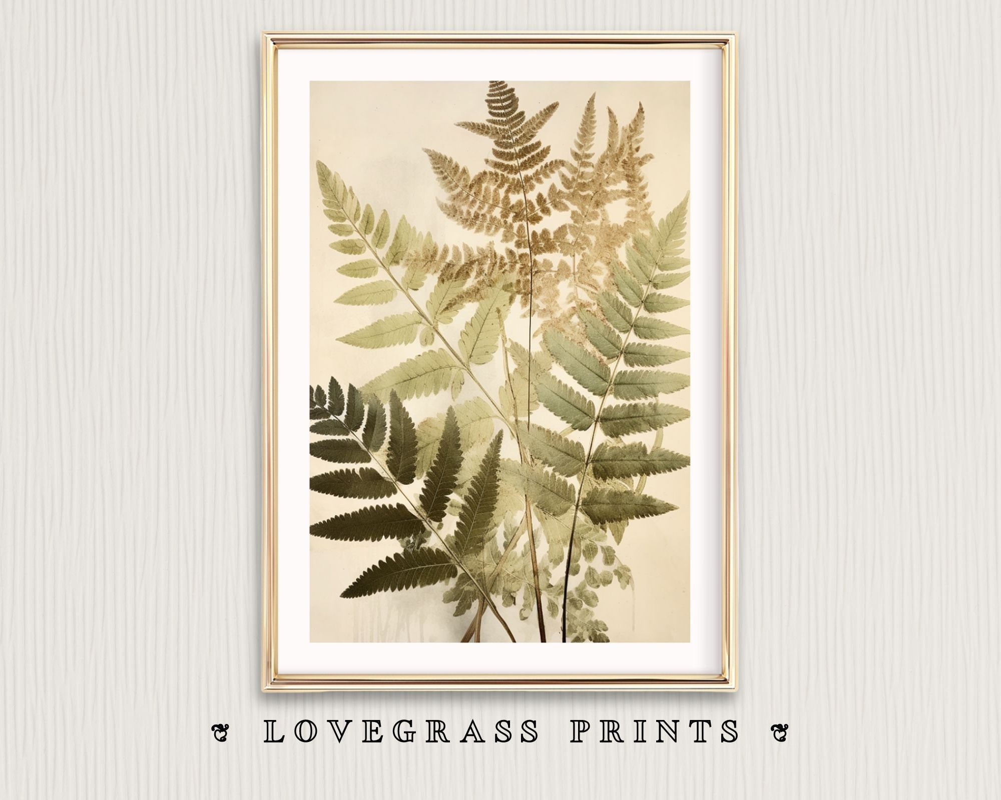 Fern Print, Fern Printable Wall Art, Ferns Art Print, Fern Vintage ...