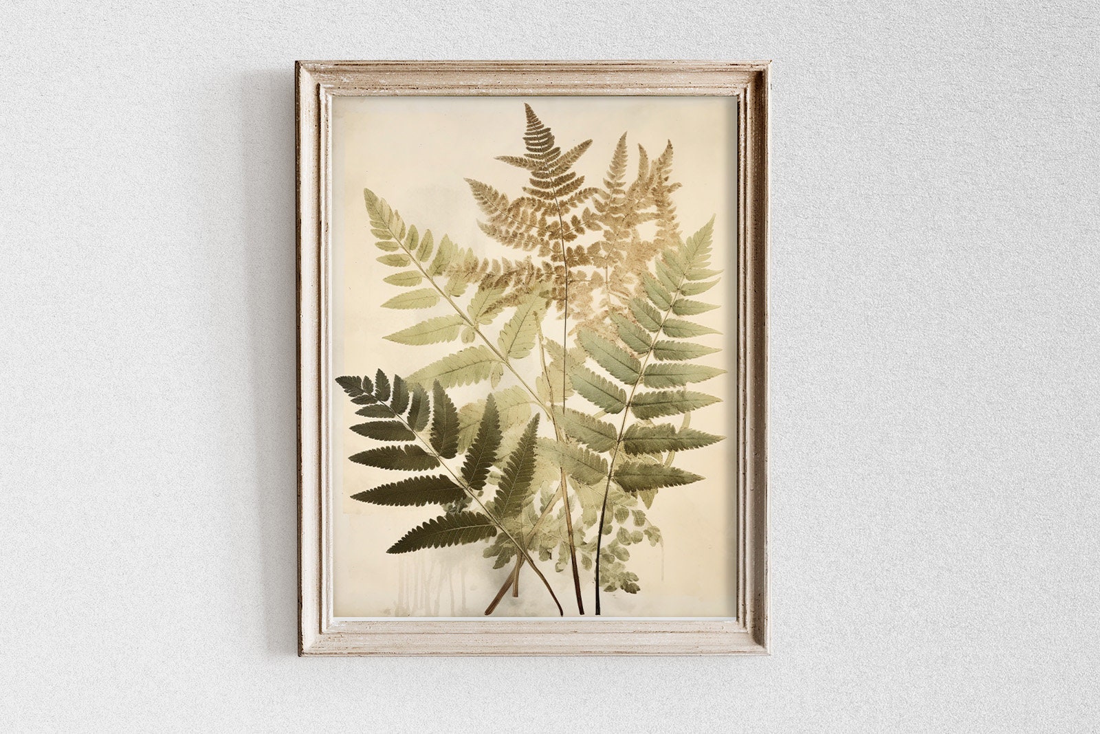 Fern Print, Fern Printable Wall Art, Ferns Art Print, Fern Vintage ...