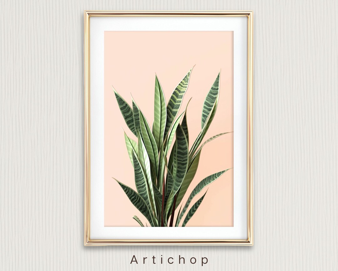 Snake Plant Art Terracotta Snake Plant Printable Sage Green - Etsy