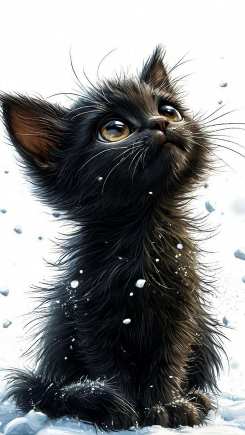 Cute Cool Cats - Etsy
