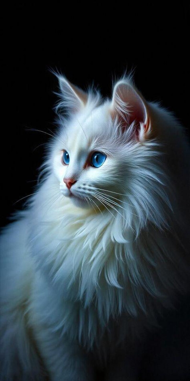 Cute Cool Cats - Etsy