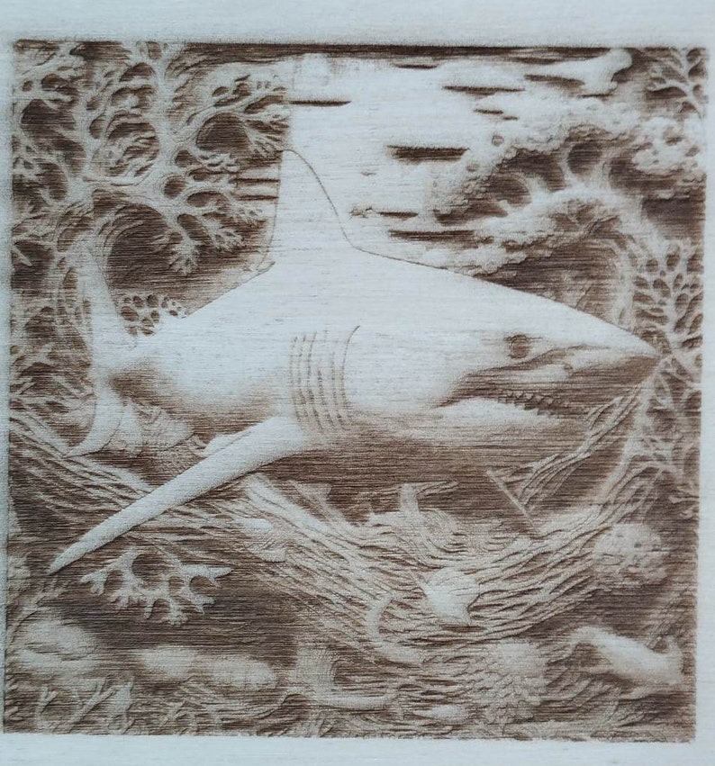 Sea Shark Laser Engraving PNG Digital Design Xtool Glowforge Lightburn ...
