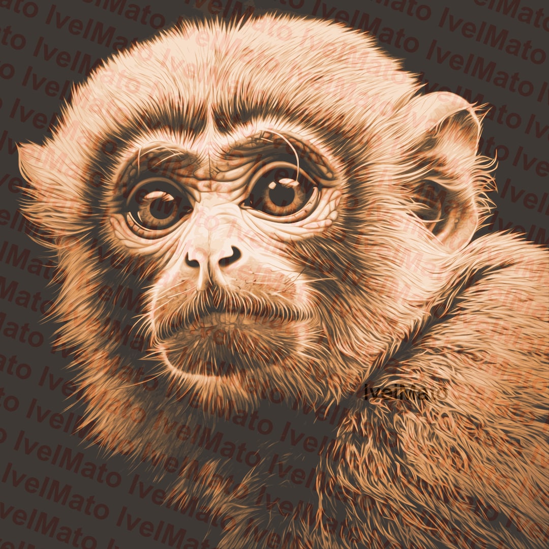 Titi Monkey Laser Burn PNG Digital Vector Design Xtool Glowforge ...