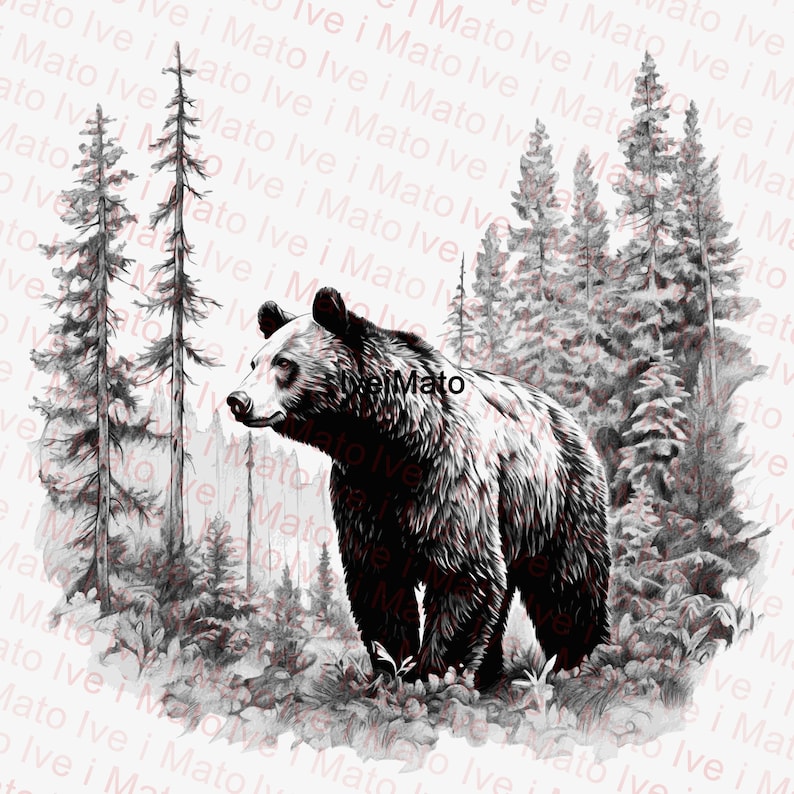 Laser Burn PNG Bear Engraving PNG Digital Design Laser - Etsy