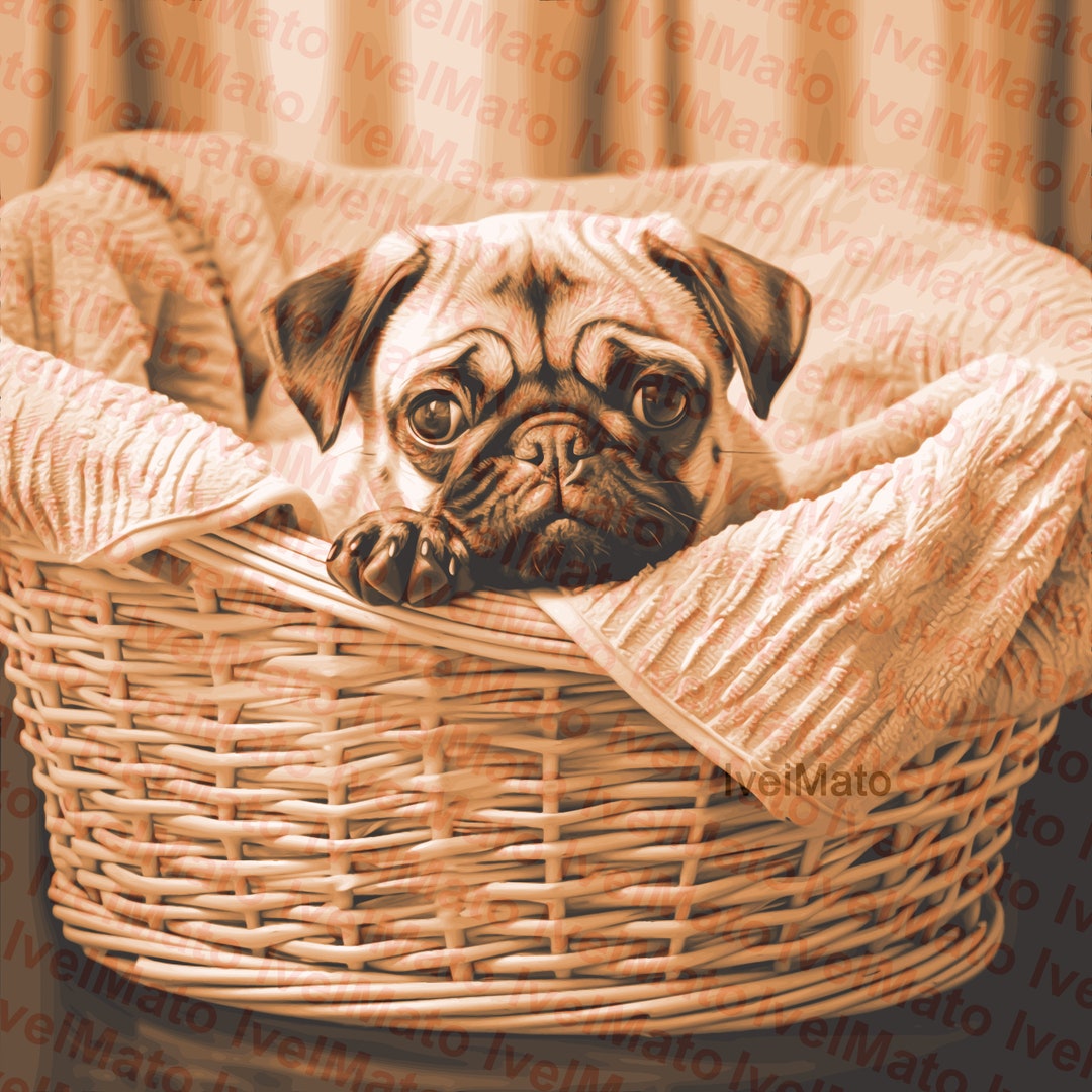Pug in Basket Laser Burn PNG | Digital Vector Design | Xtool ...